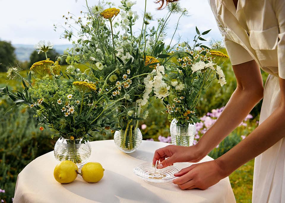 Circon Collection | Refined Crystal Gifting | Waterford®